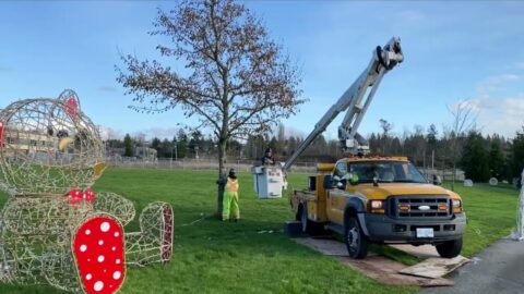 Cobra Electric | Electrical Contracting British Columbia